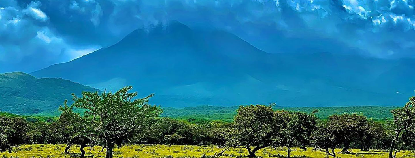 Willkommen im Guanacaste-Nationalpark - Visit Costa Rica